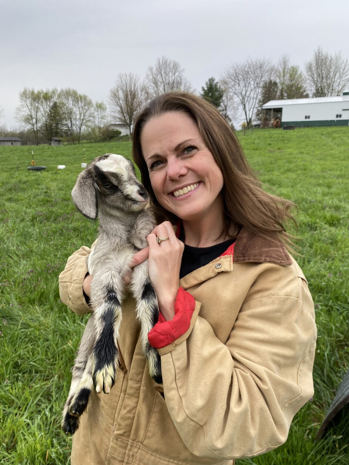 For The Love of the Kiko Meat Goat - Goat Journal